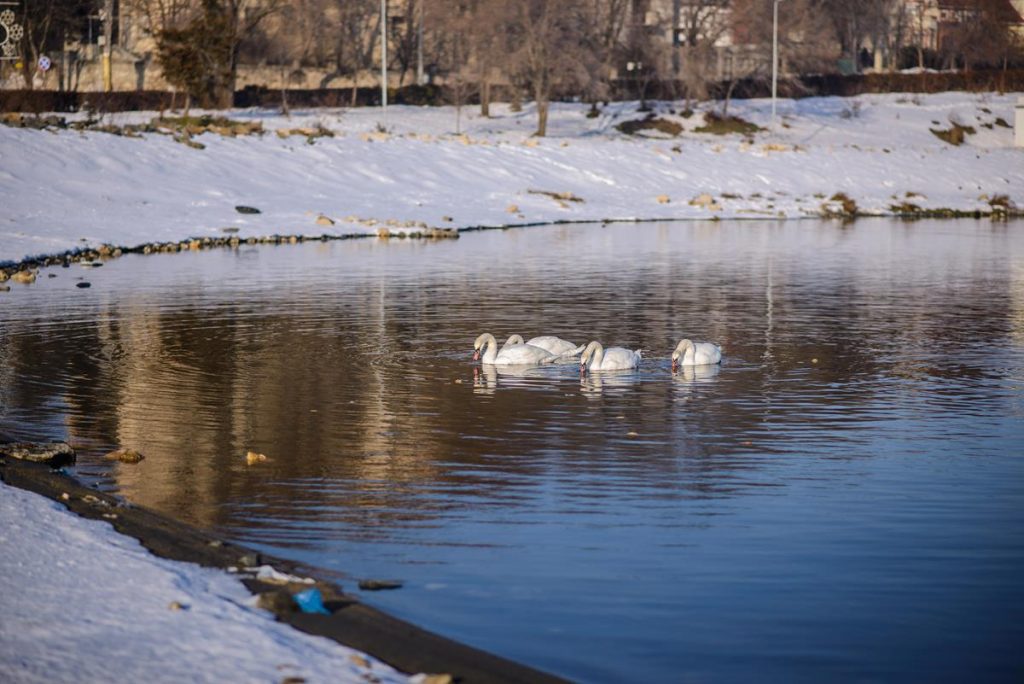 Lacul Techirghiol | Stațiunea Balneară Techirghiol