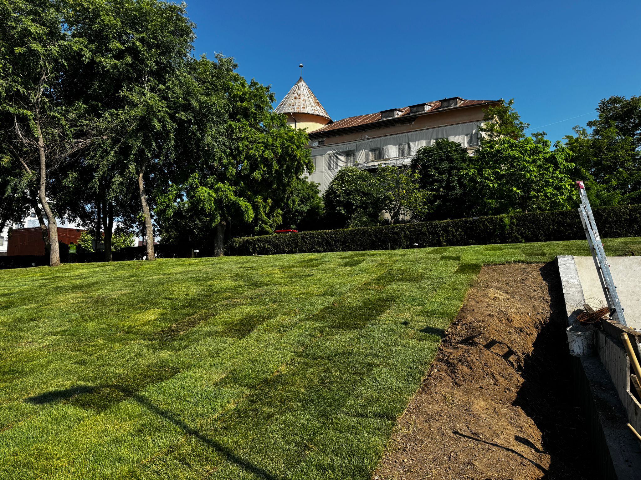 montare-gazon-techirghiol-2025-4 | Stațiunea Balneară Techirghiol