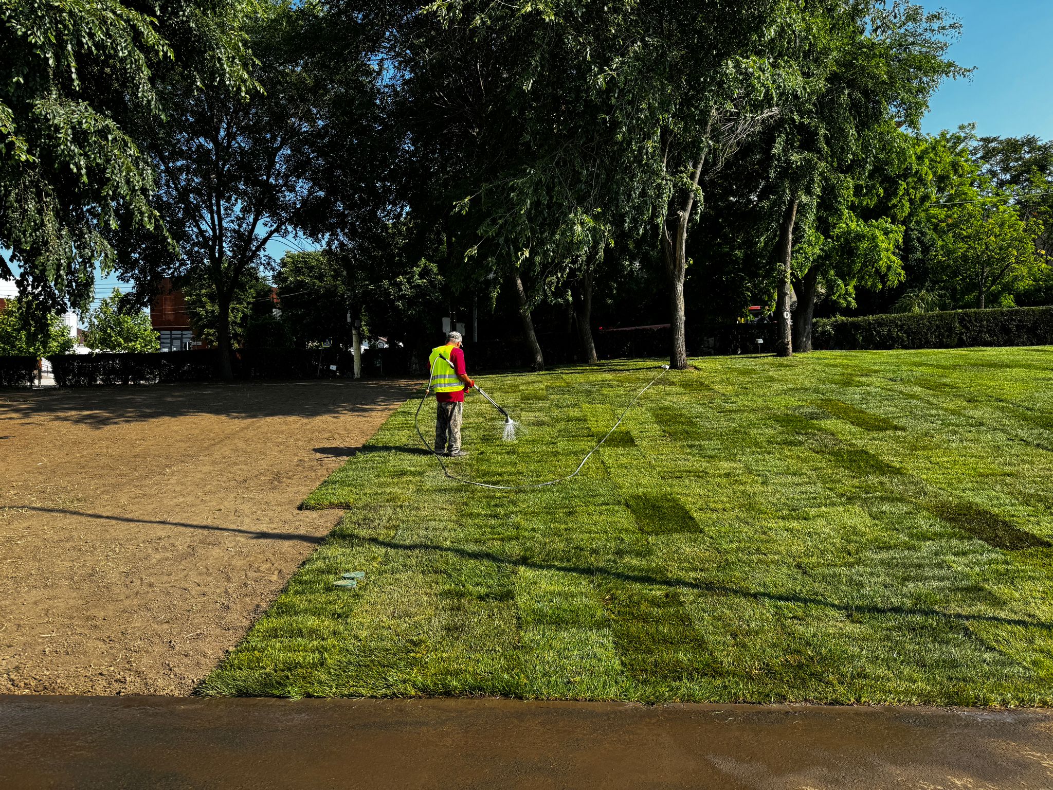 montare-gazon-techirghiol-2025-6 | Stațiunea Balneară Techirghiol